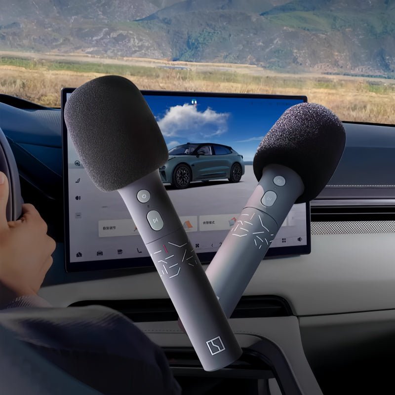 Genuine Zeekr UHF Wireless Microphones | Official Car Karaoke Mics ...